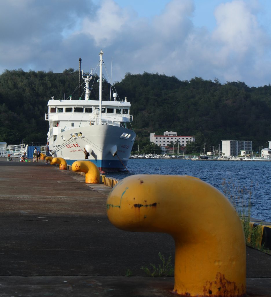 Hiking Mount Kofuji – Must do hikes and views on Hahajima Island in ...