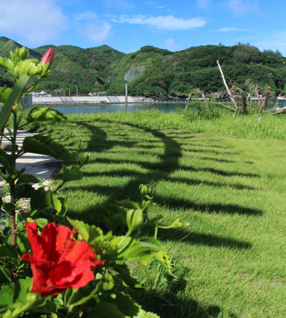 Secret Beaches on Hahajima Island in Ogasawara – Wondertips