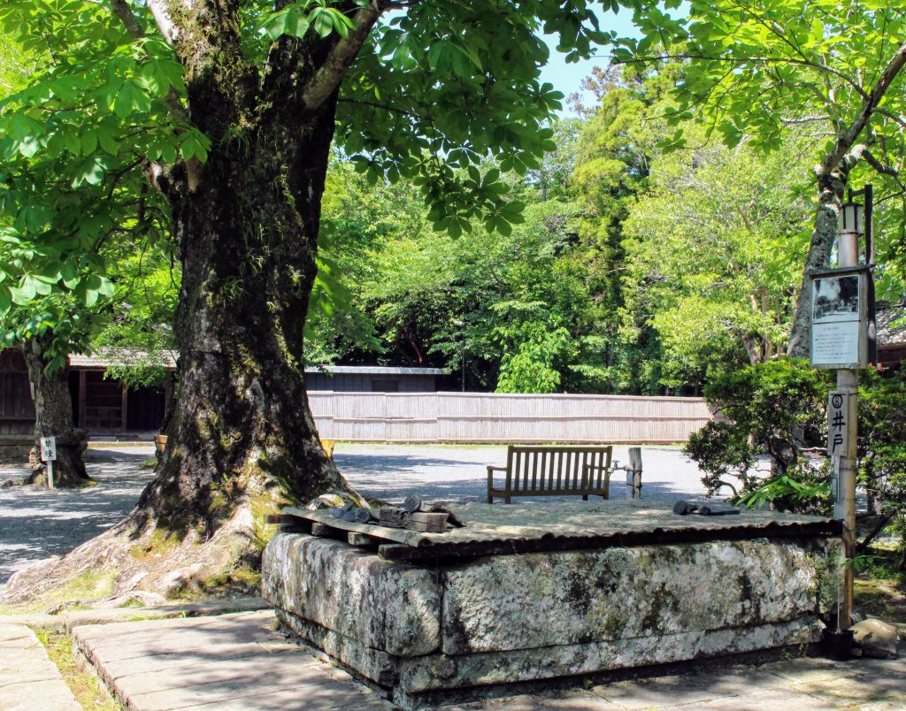 Izu Peninsula: What to See & Do in Shuzenji hot spring town – Wondertips