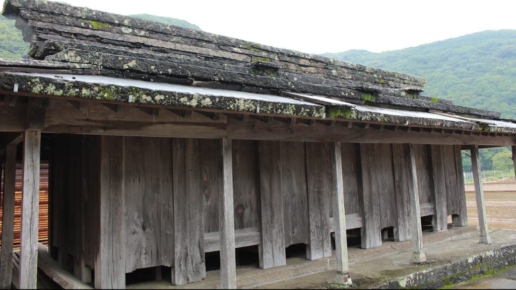 A Quick Guide to Tsushima Island in Nagasaki – Wondertips