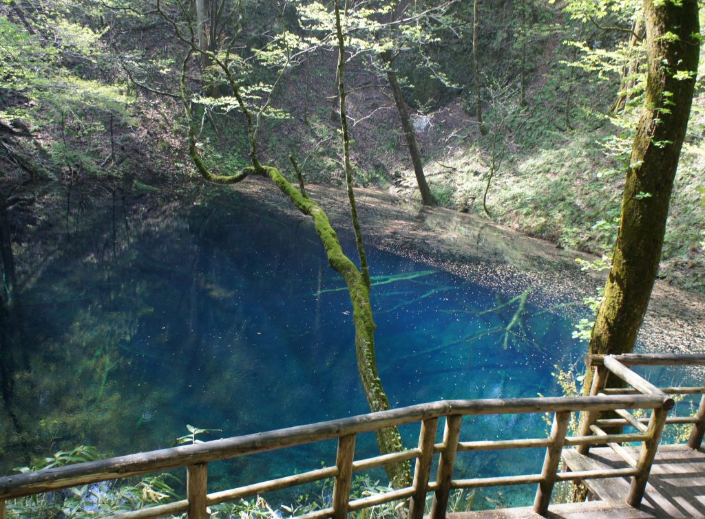 Discovering Shirakami Mountains in Northern Japan – Wondertips