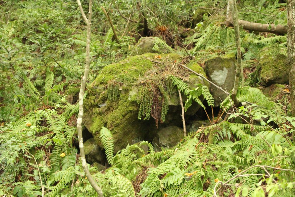 Where to catch the best sunset on Dogo Island in Oki – Wondertips